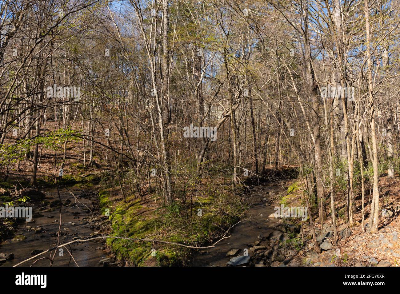 Hidden from view concept hi-res stock photography and images - Alamy