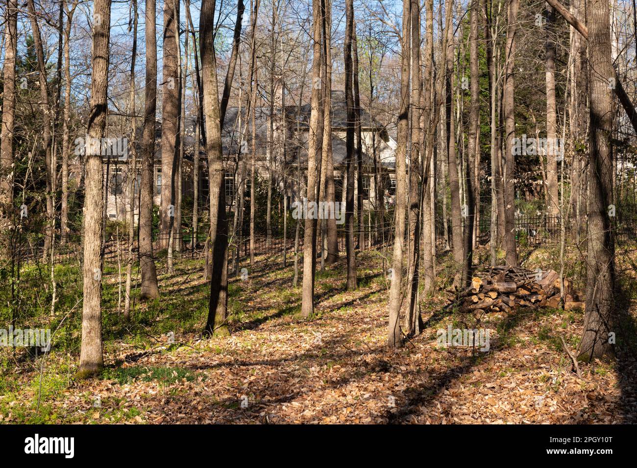 Hidden mansion tucked into the woods, partially hidden from view. Real ...