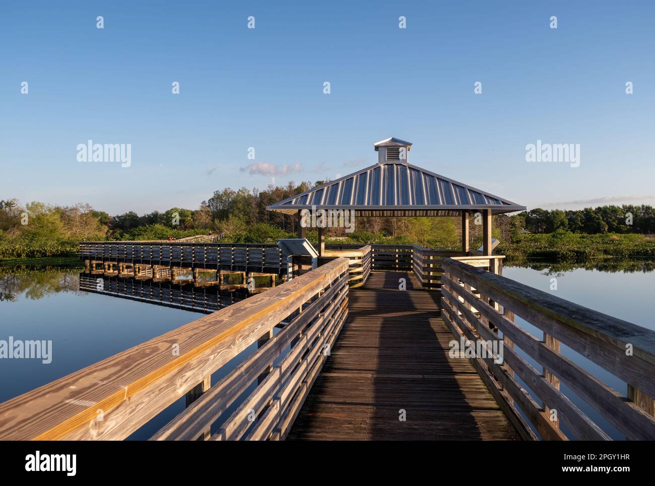 Elevated boardwalk at Green Cay Nature Center and Wetlands in Boynton ...