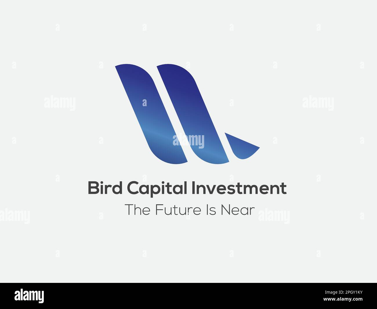 Capital Investment Logo