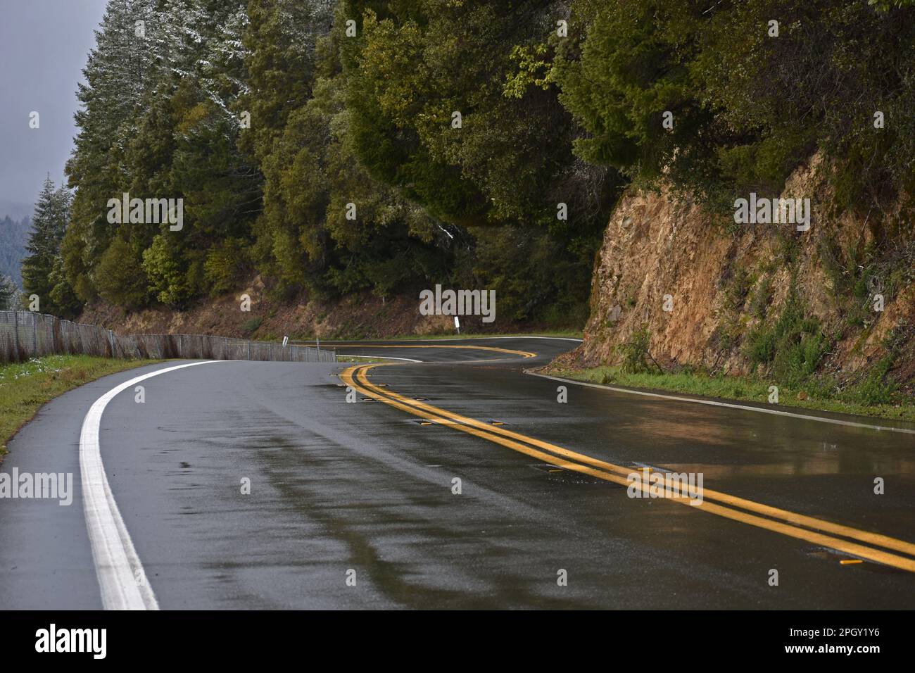 follow the curves to see where the road will take you not all your ...