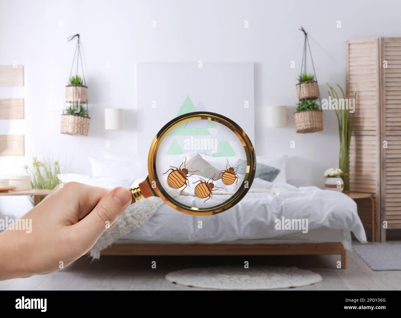 Plant infested living room hi-res stock photography and images - Alamy