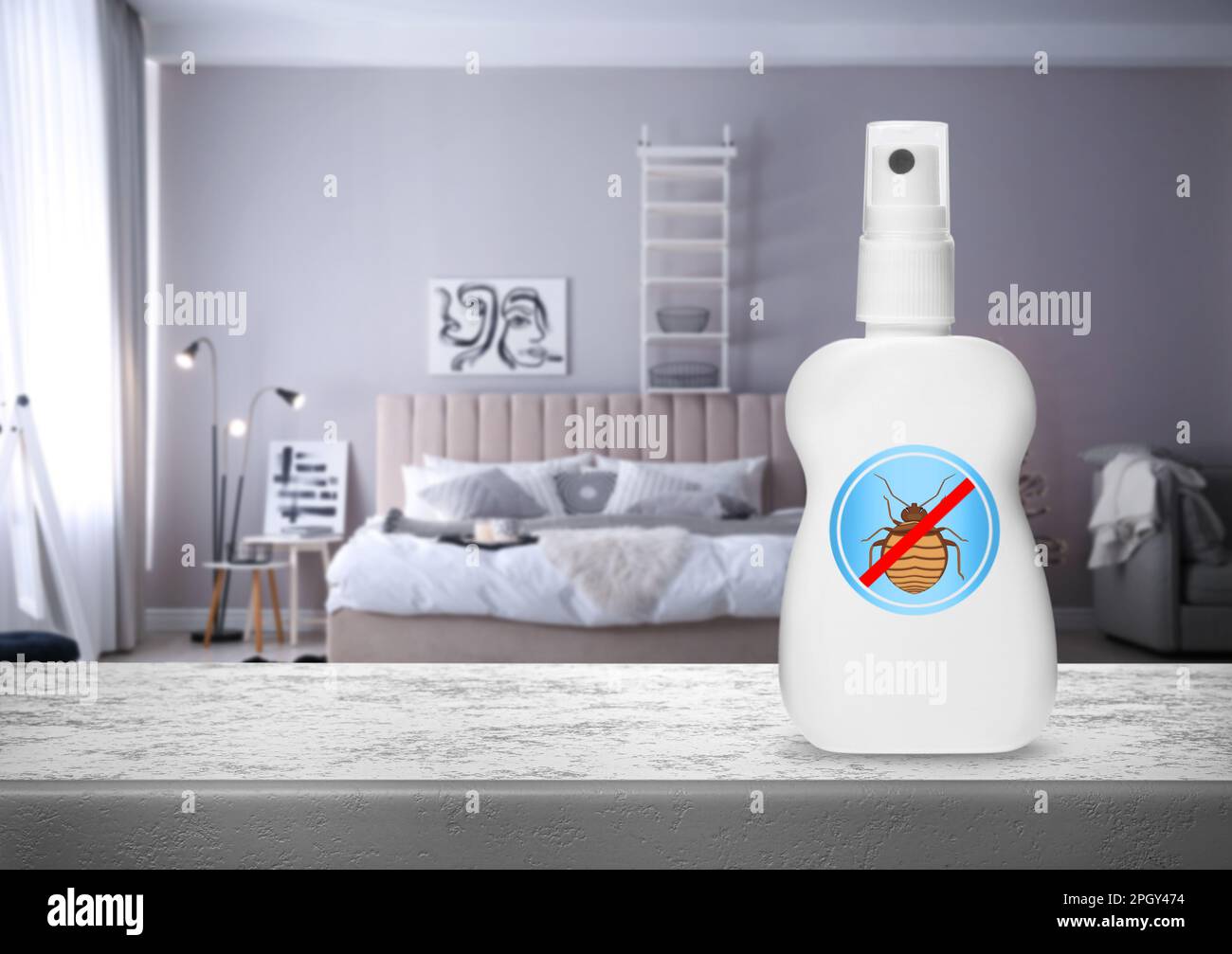 Bedbug pictures hi-res stock photography and images - Alamy