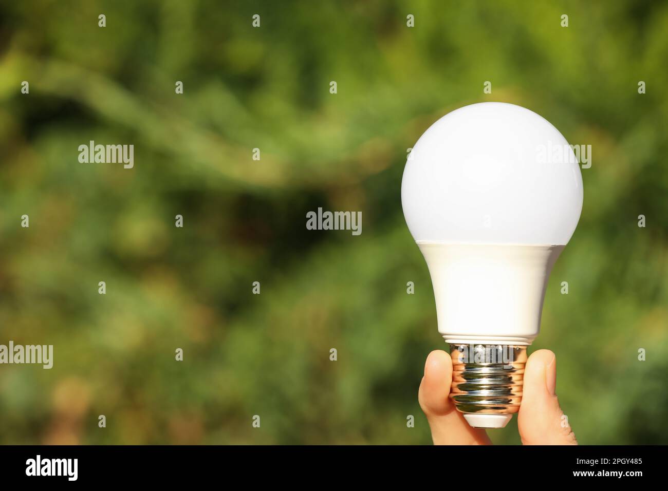 Woman holding LED light bulb on blurred green background, closeup ...