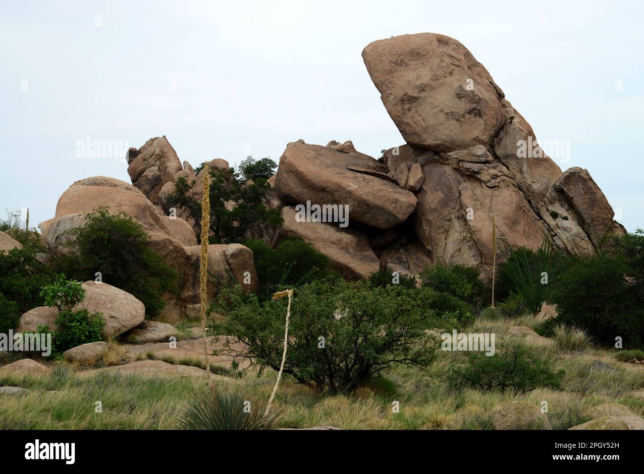 Texas Canyon in the Sonora desert in central Arizona USA Stock Photo ...