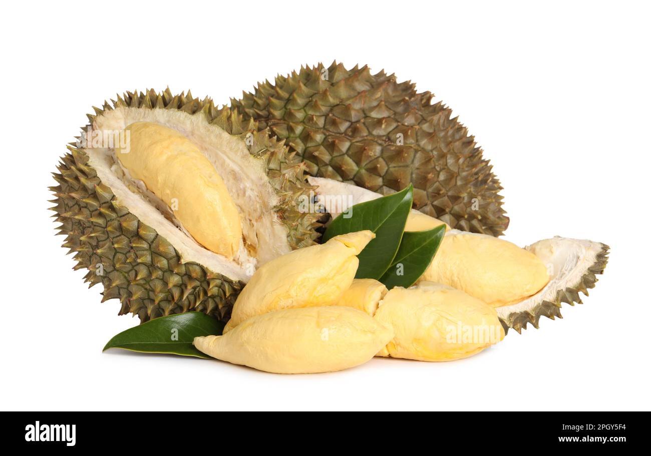 Fresh ripe durians with green leaves on white background. Tropical ...