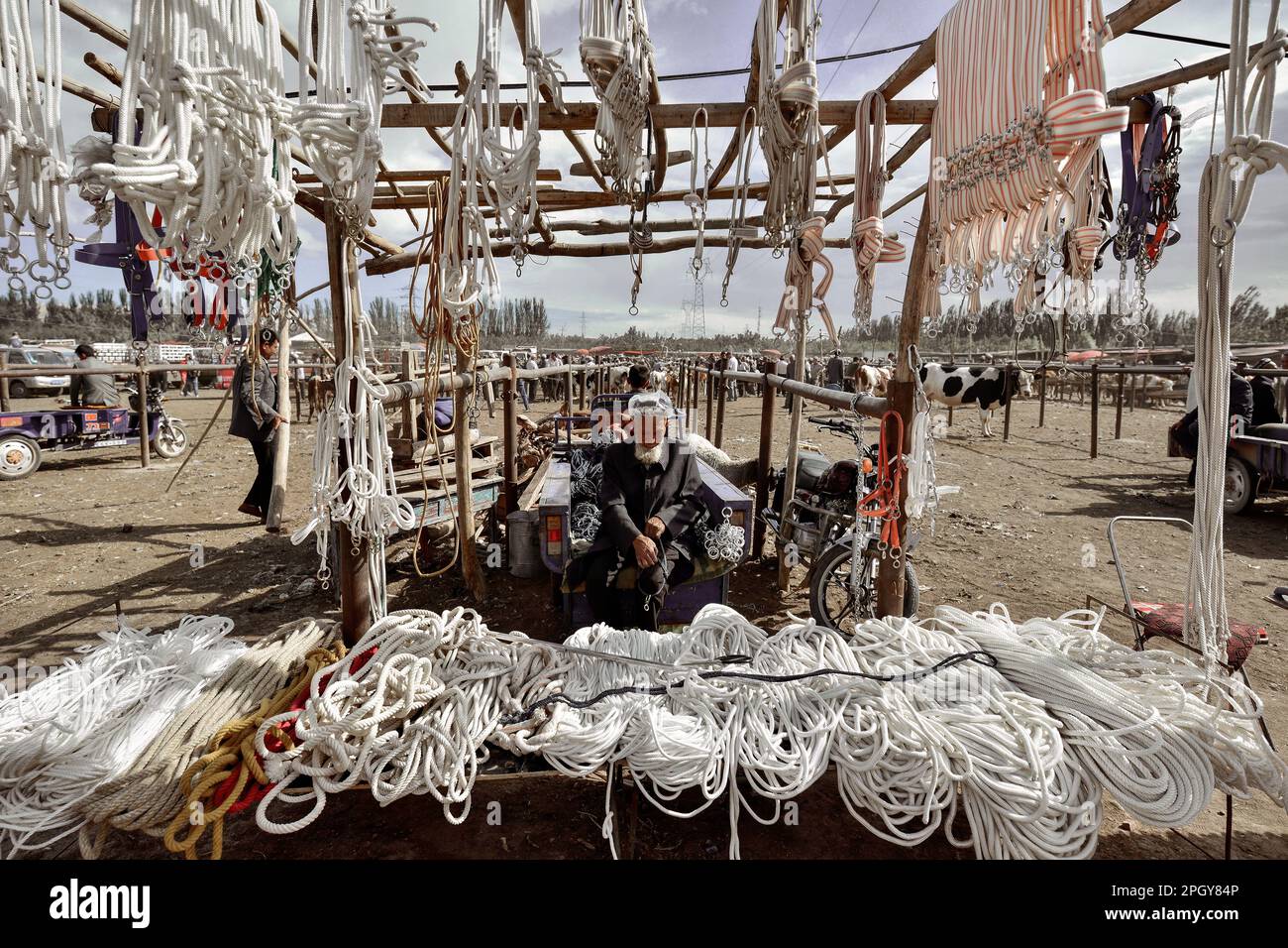 Sheep vendor hi-res stock photography and images - Alamy