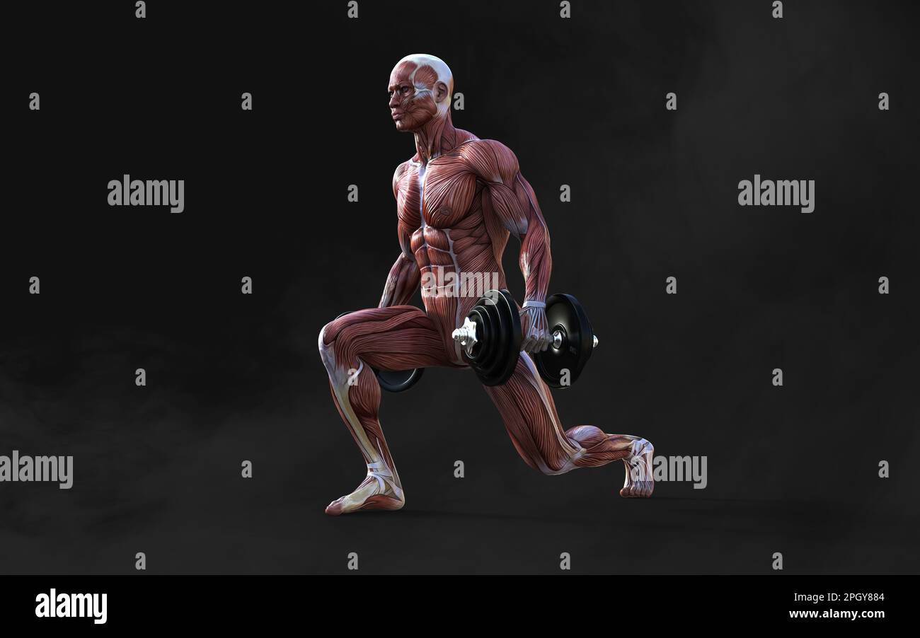 3d Illustration of a muscular man figures pose with skin and muscle map ...