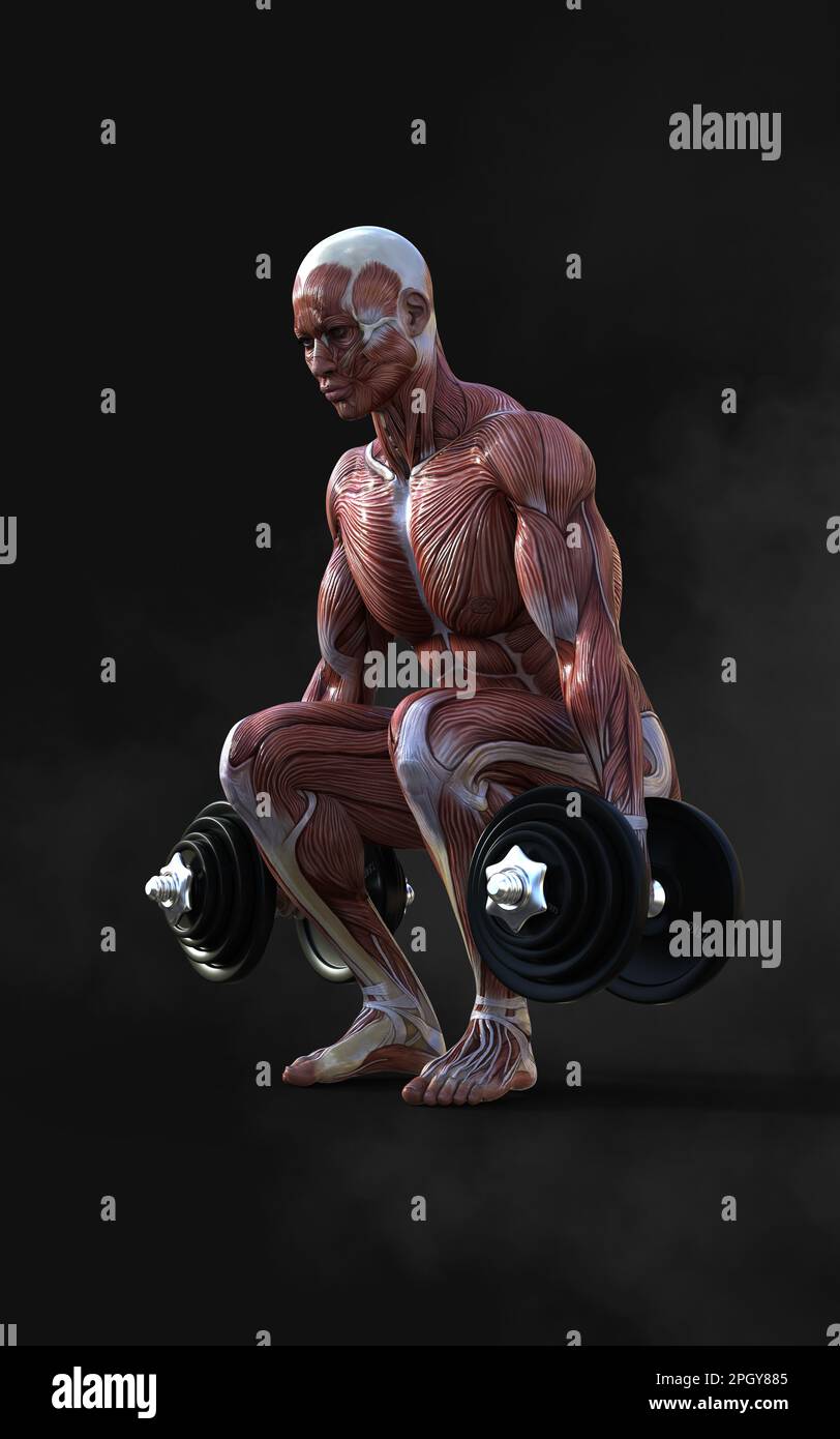 3d Illustration of a muscular man figures pose with skin and muscle map ...