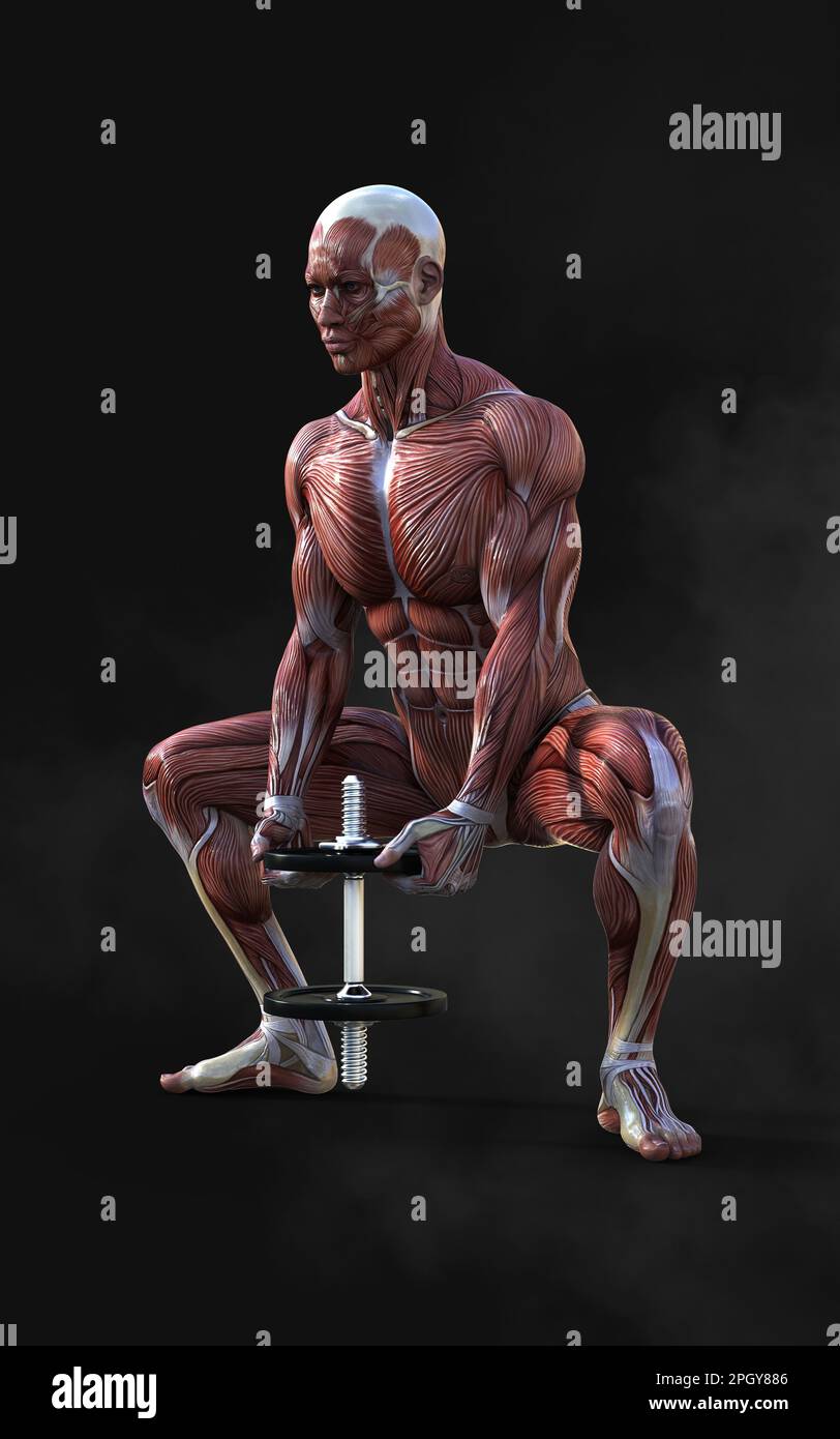 3d Illustration of a muscular man figures pose with skin and muscle map ...