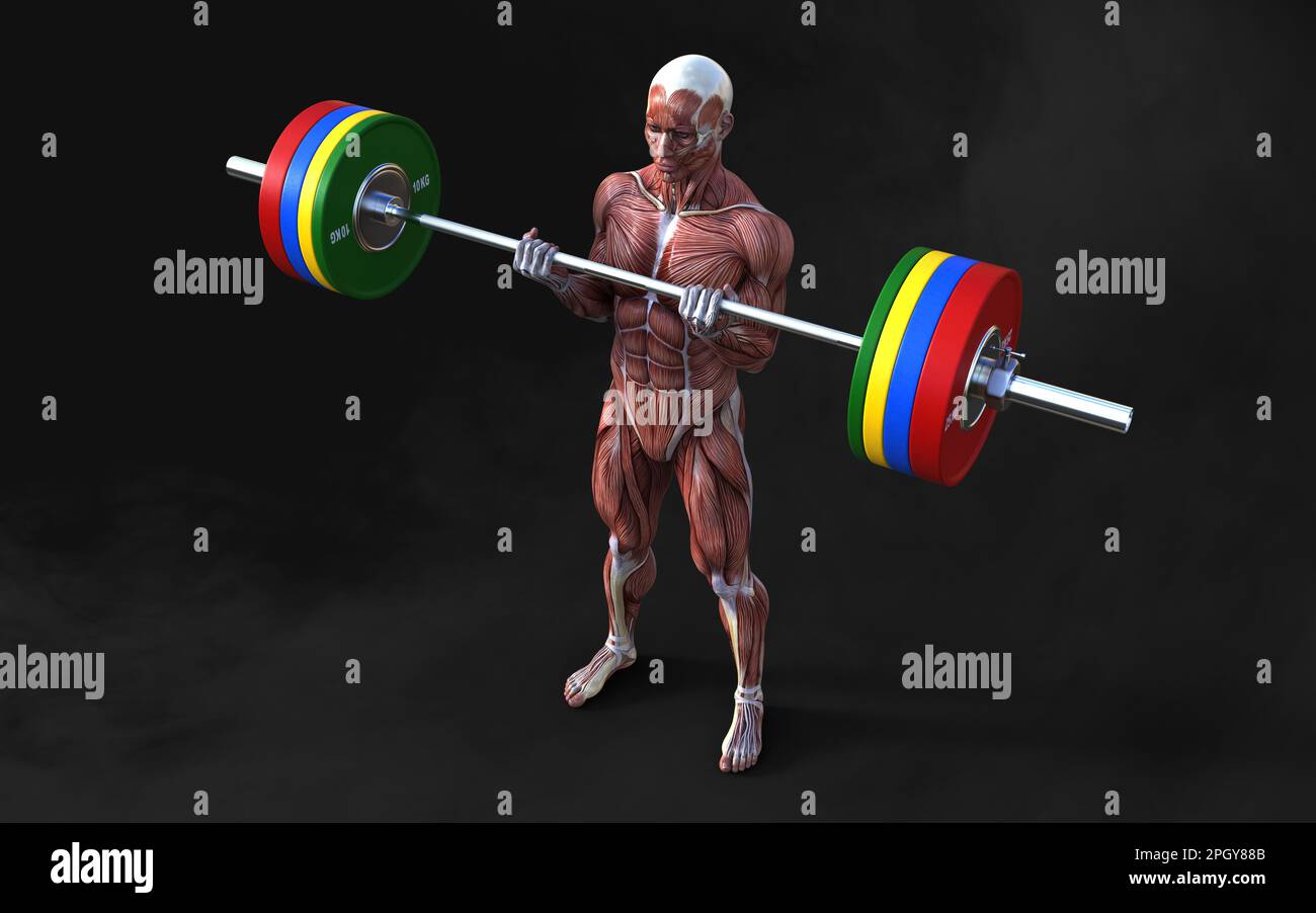 3d Illustration of a muscular man figures pose with skin and muscle map ...