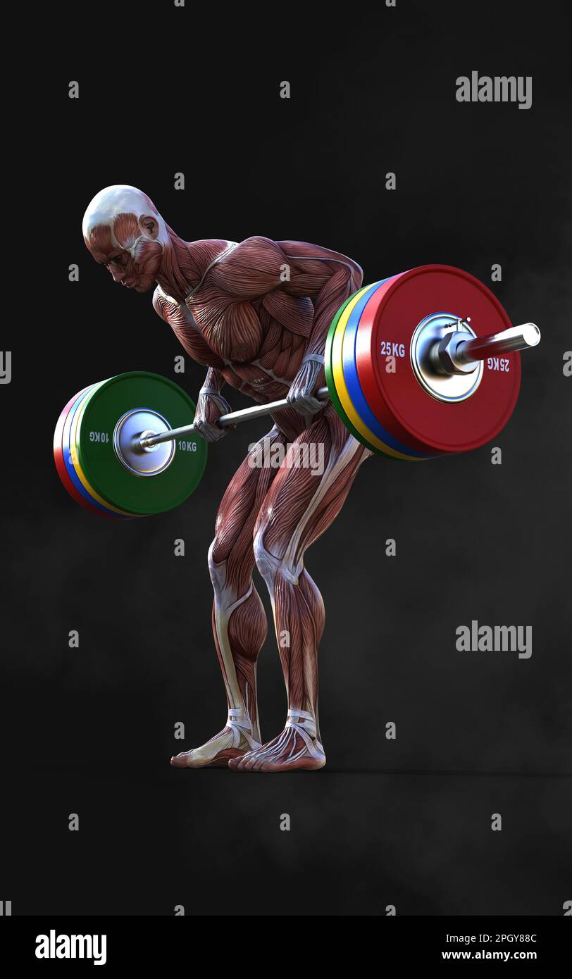 3d Illustration of a muscular man figures pose with skin and muscle map ...