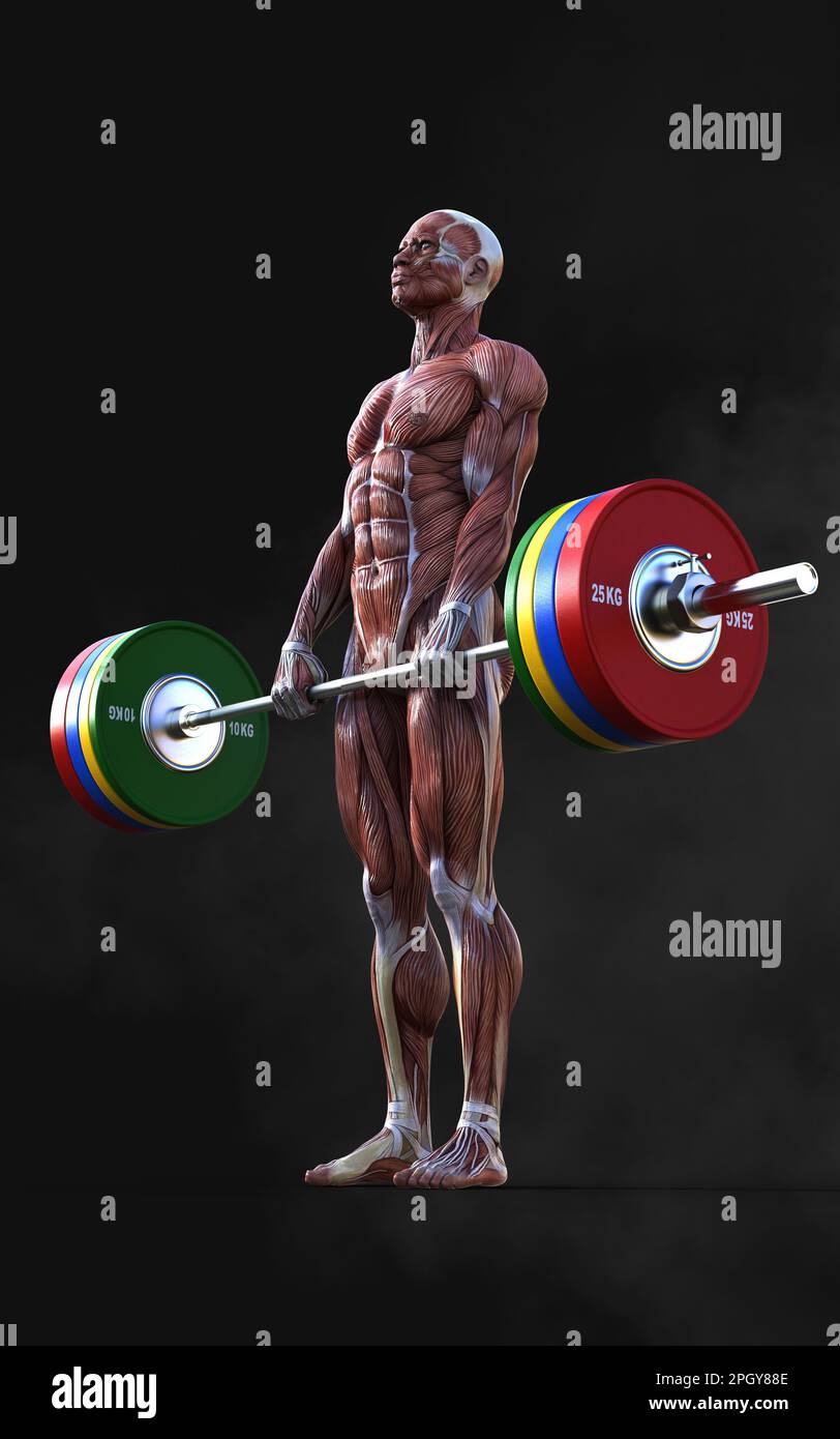 3d Illustration of a muscular man figures pose with skin and muscle map ...