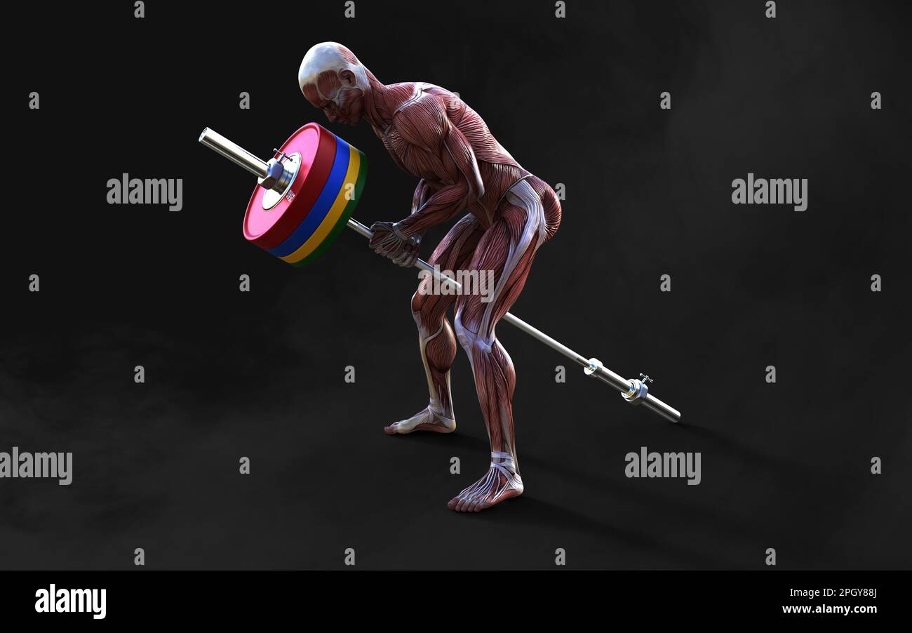 3d Illustration of a muscular man figures pose with skin and muscle map ...