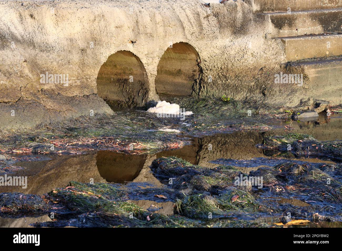 Random stock images at a park and drainage area near the ocean to allow ...