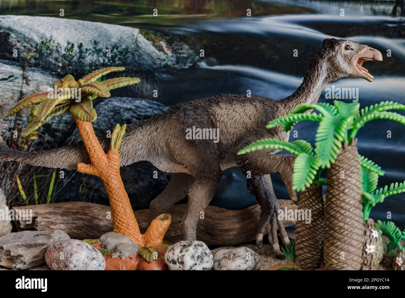 Carnegie safari hi-res stock photography and images - Alamy