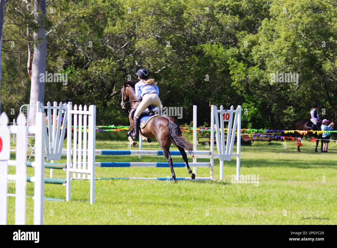 Random stock images of equestrian jumping contest, horses and random ...