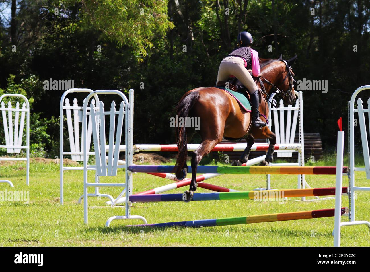 Random stock images of equestrian jumping contest, horses and random ...