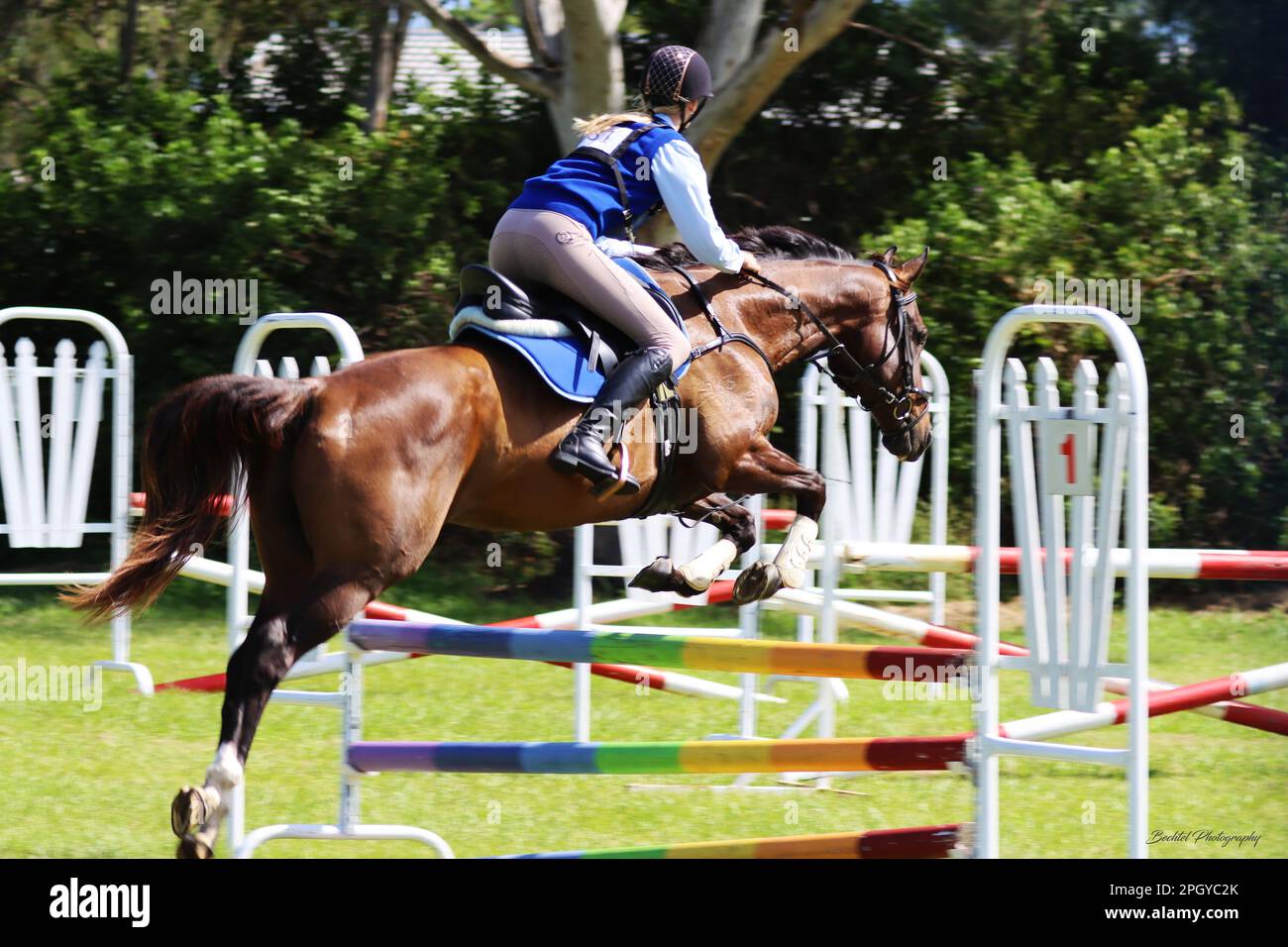 Random stock images of equestrian jumping contest, horses and random ...