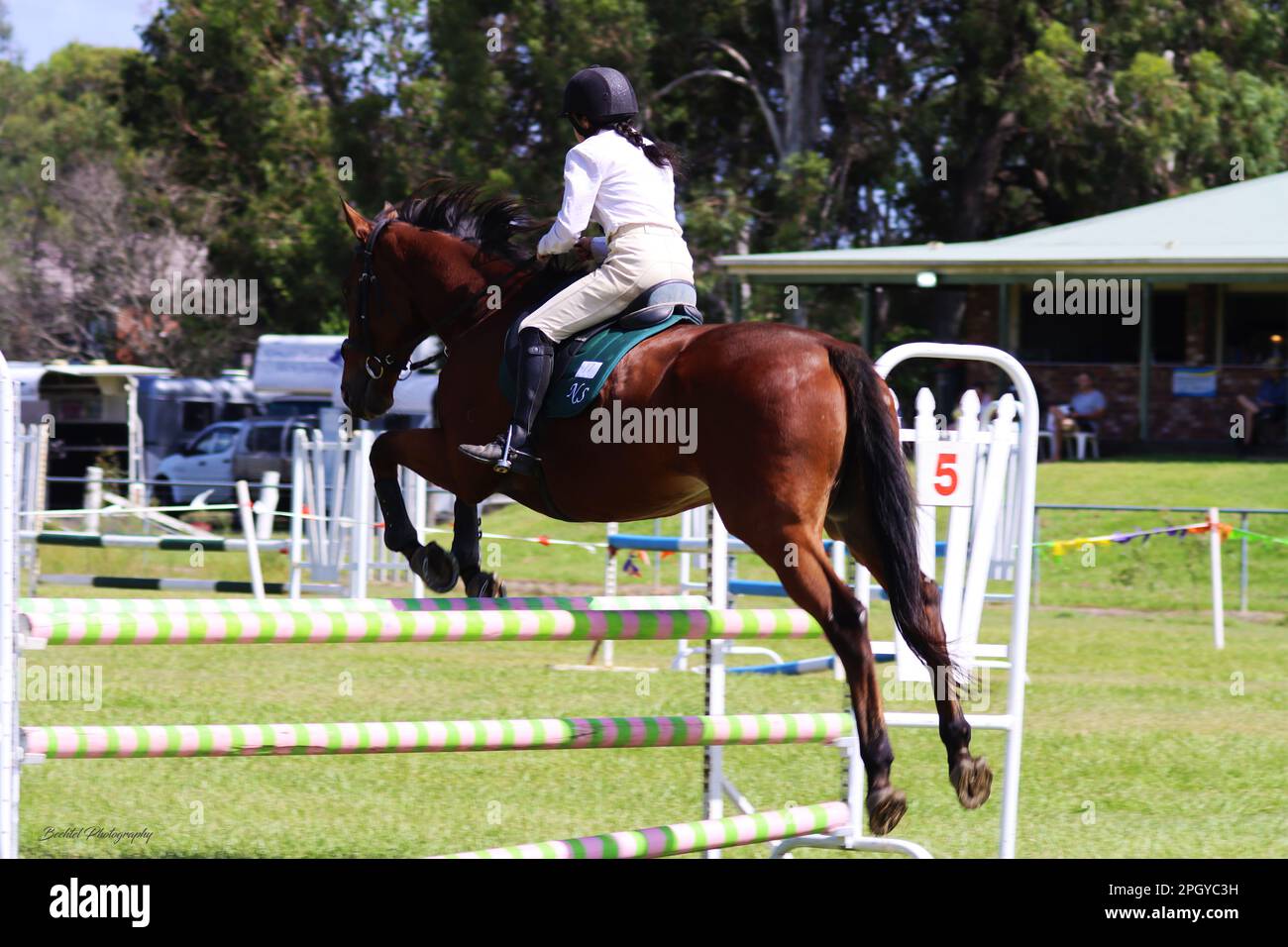 Random stock images of equestrian jumping contest, horses and random ...