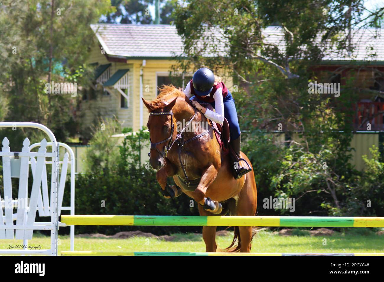 Random stock images of equestrian jumping contest, horses and random ...