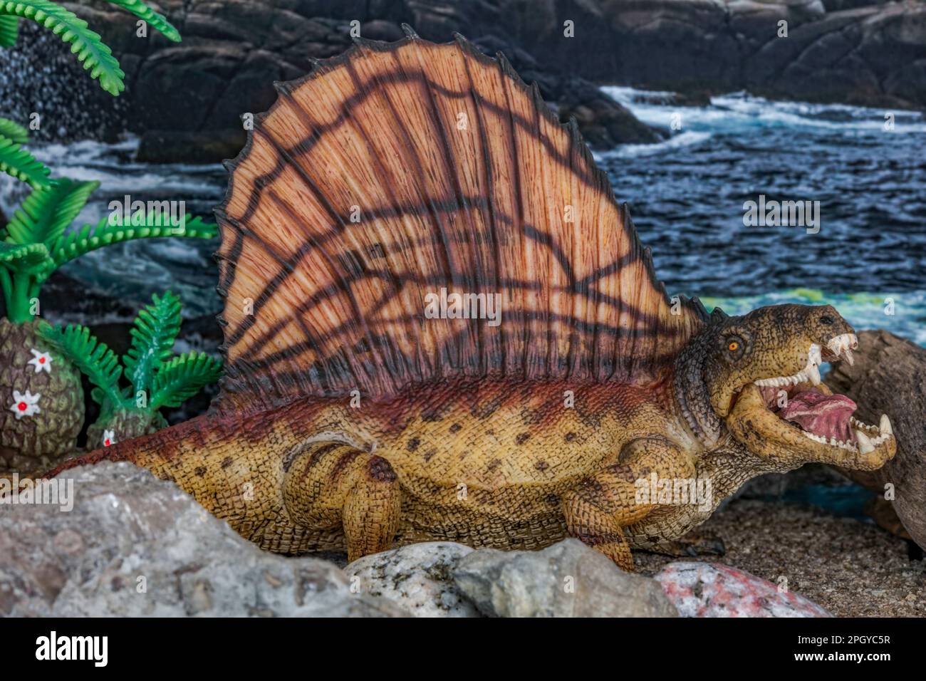 A Dimetrodon (by Papo) suns itself 50 million years before the earliest ...