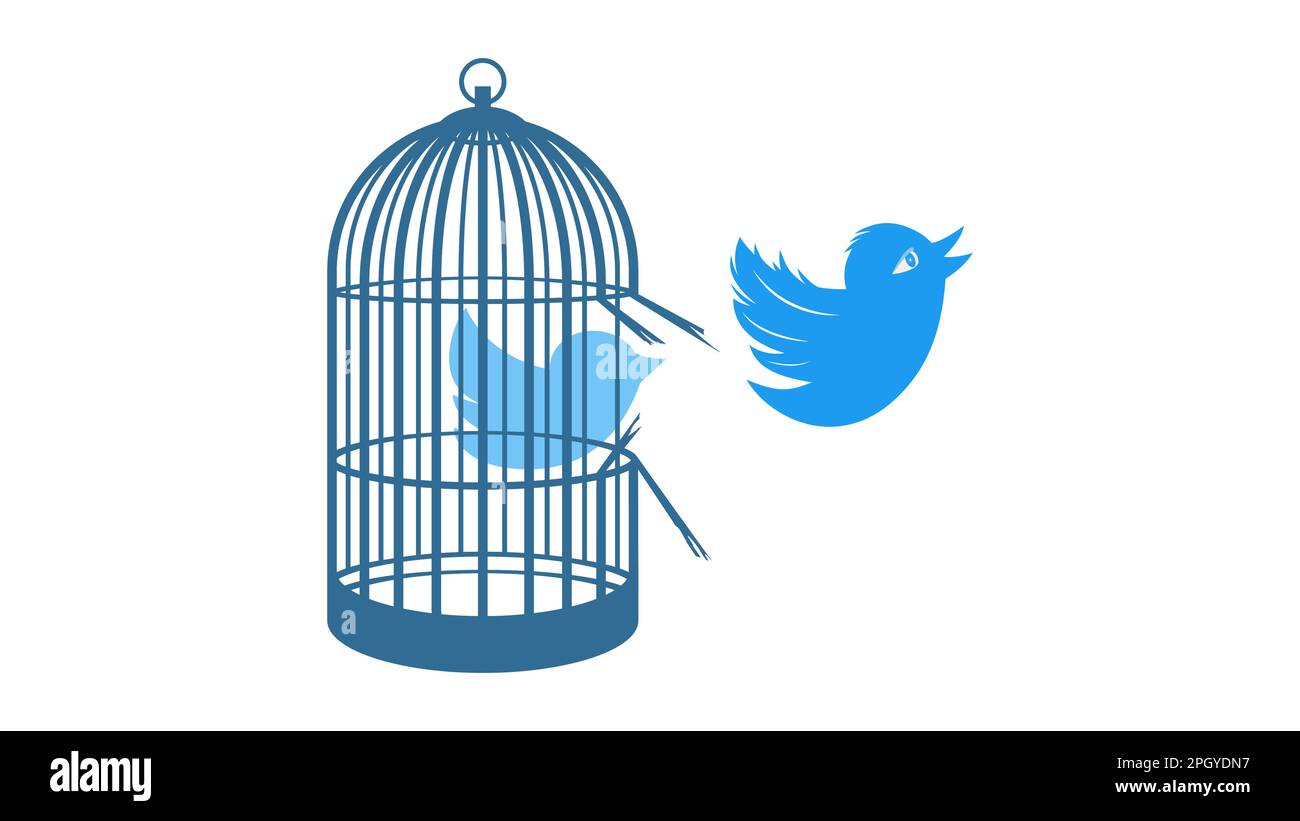 Bird Escape From Cage at Jerome Cairns blog