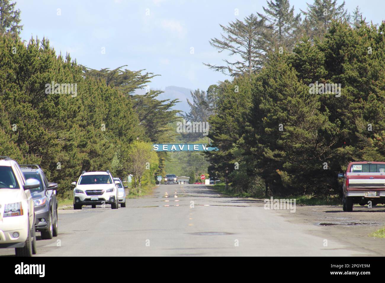 Dense trees bordering a low-lying road with cars parked off the ...