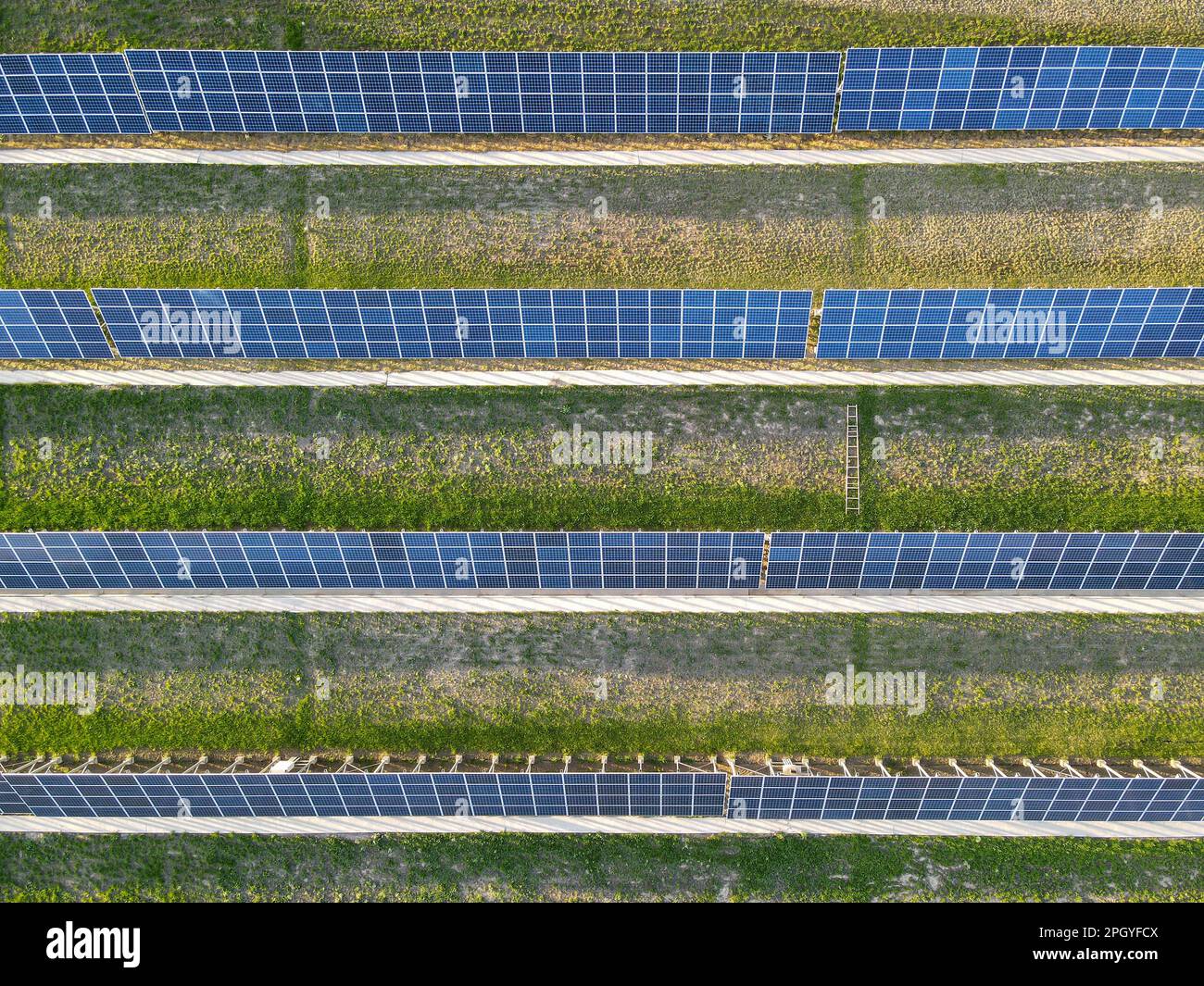 Four rows of solar panels. View from the drone Stock Photo - Alamy