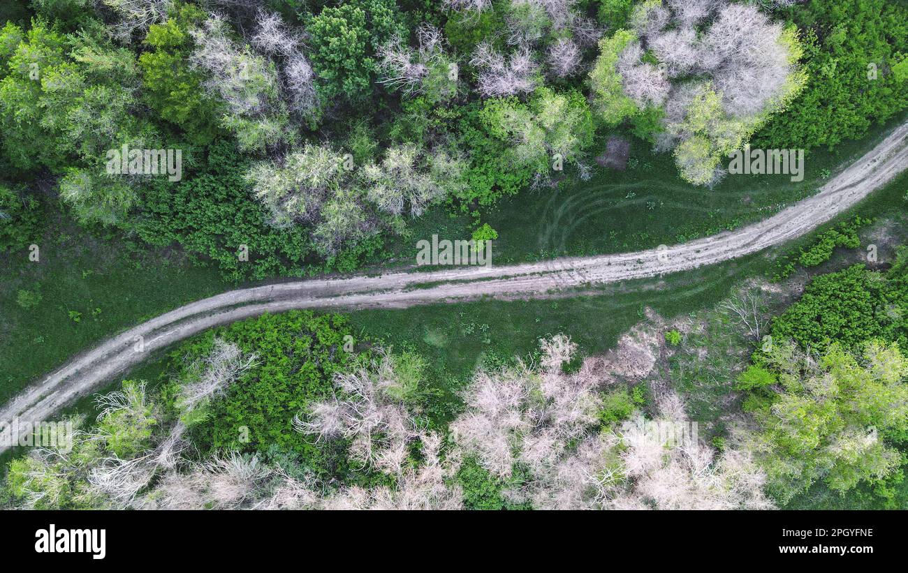 Beautiful road trip view hi-res stock photography and images - Alamy