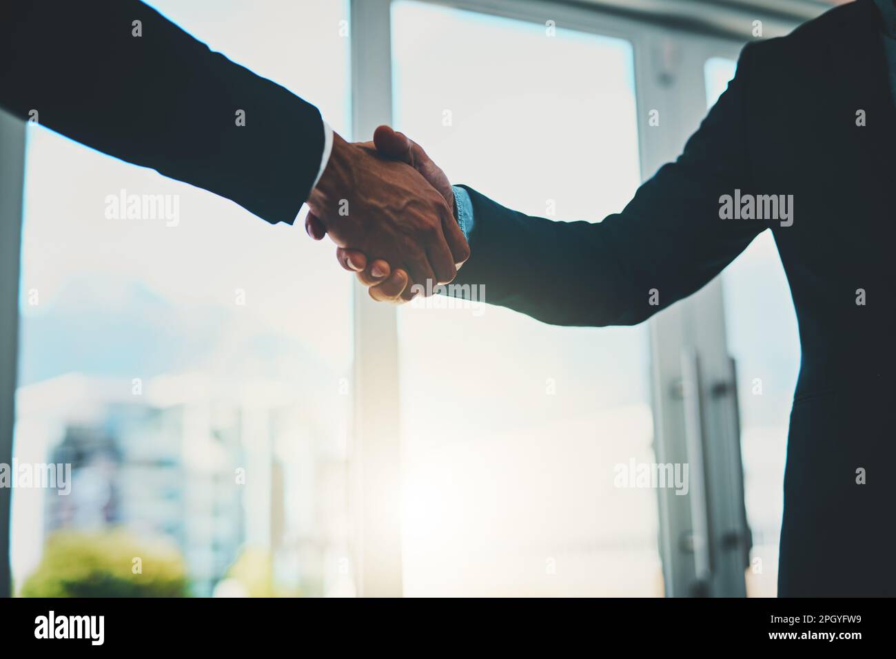 Another deal done and dusted. two businessmen shaking hands Stock Photo ...