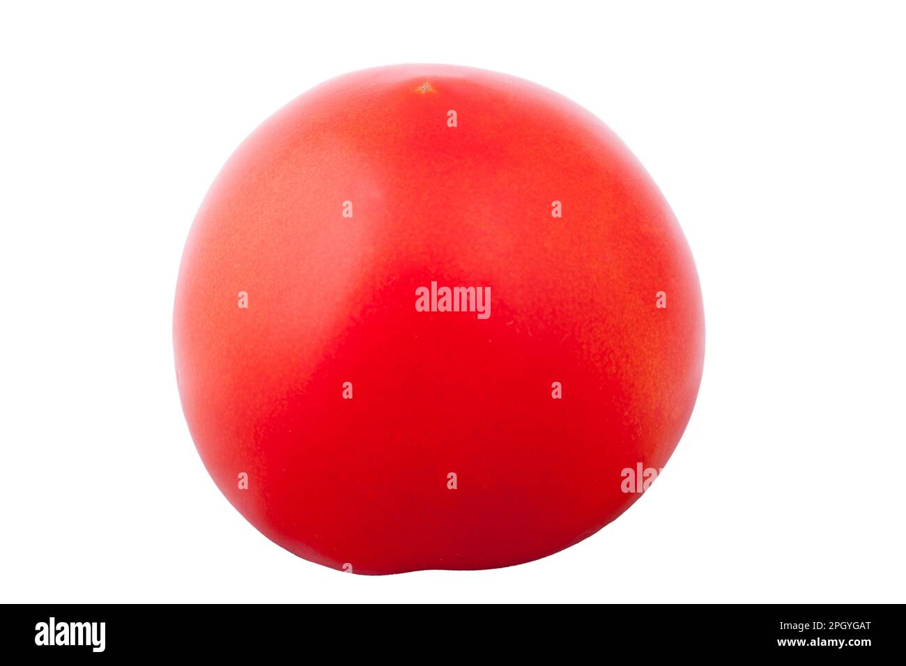 Side view of a fresh juicy tomato isolated over white background Stock ...
