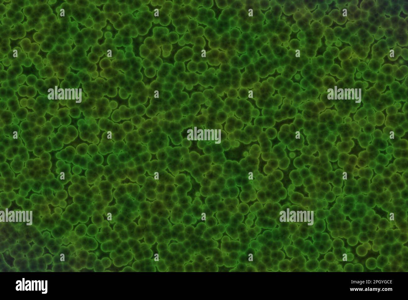 creative nice many organic bacterias digital art backdrop illustration ...