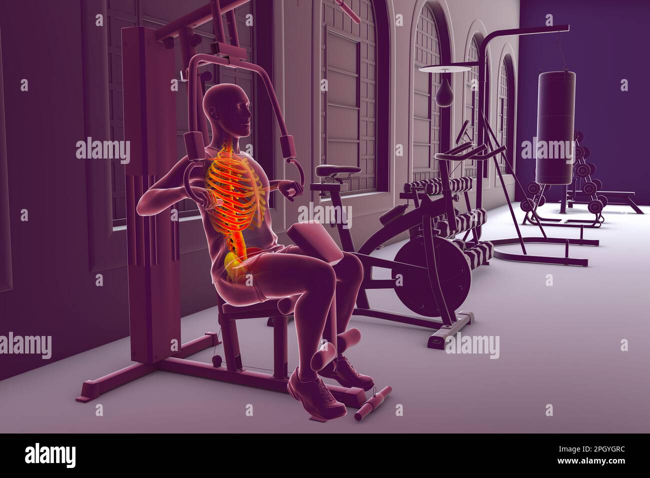 Skeleton training on a hammer strength machine, illustration Stock ...