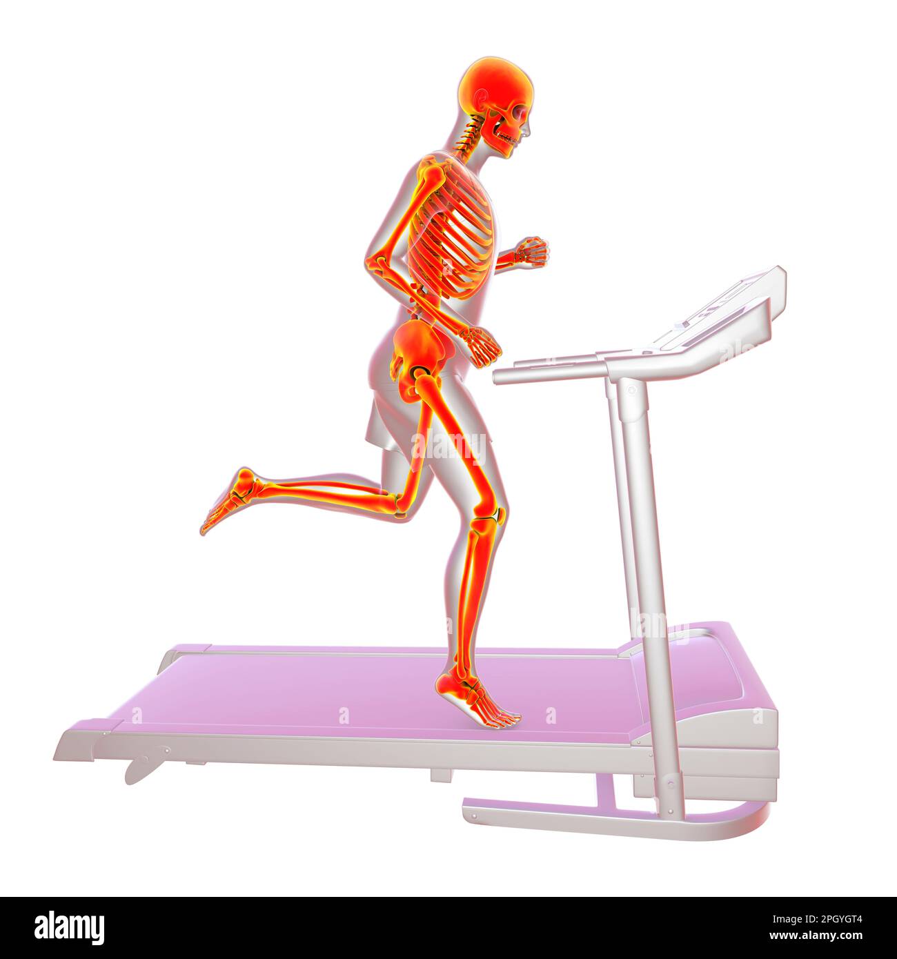 Skeleton running on a treadmill, illustration Stock Photo - Alamy