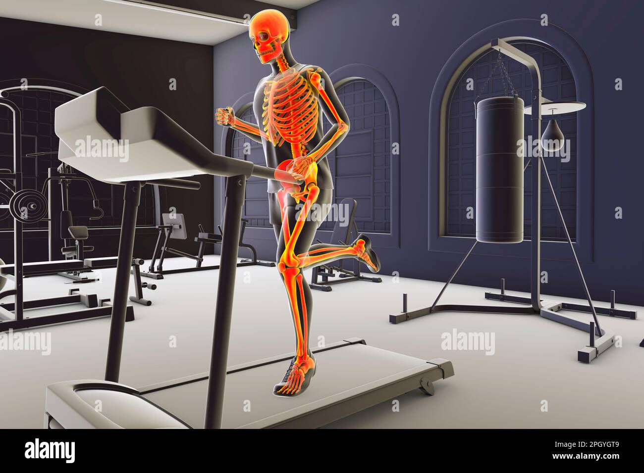 Skeleton running on a treadmill, illustration Stock Photo - Alamy