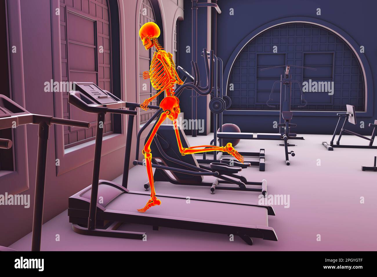 Human skeleton illustration running hi-res stock photography and images ...