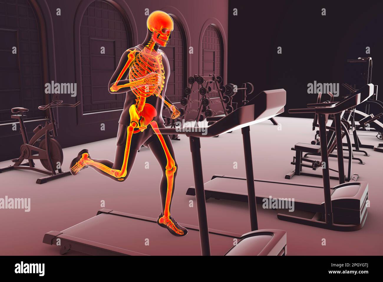 Skeleton running on a treadmill, illustration Stock Photo - Alamy
