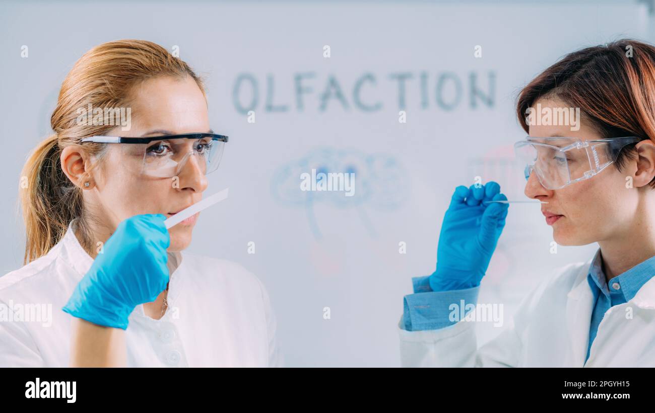 Sense of smell research, conceptual image Stock Photo - Alamy
