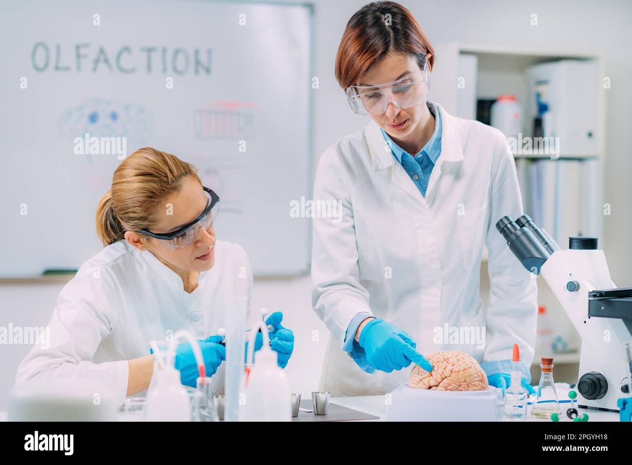 Sense of smell research, conceptual image Stock Photo - Alamy