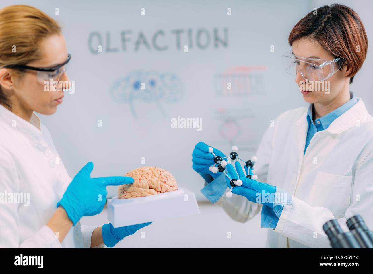 Sense of smell research, conceptual image Stock Photo - Alamy