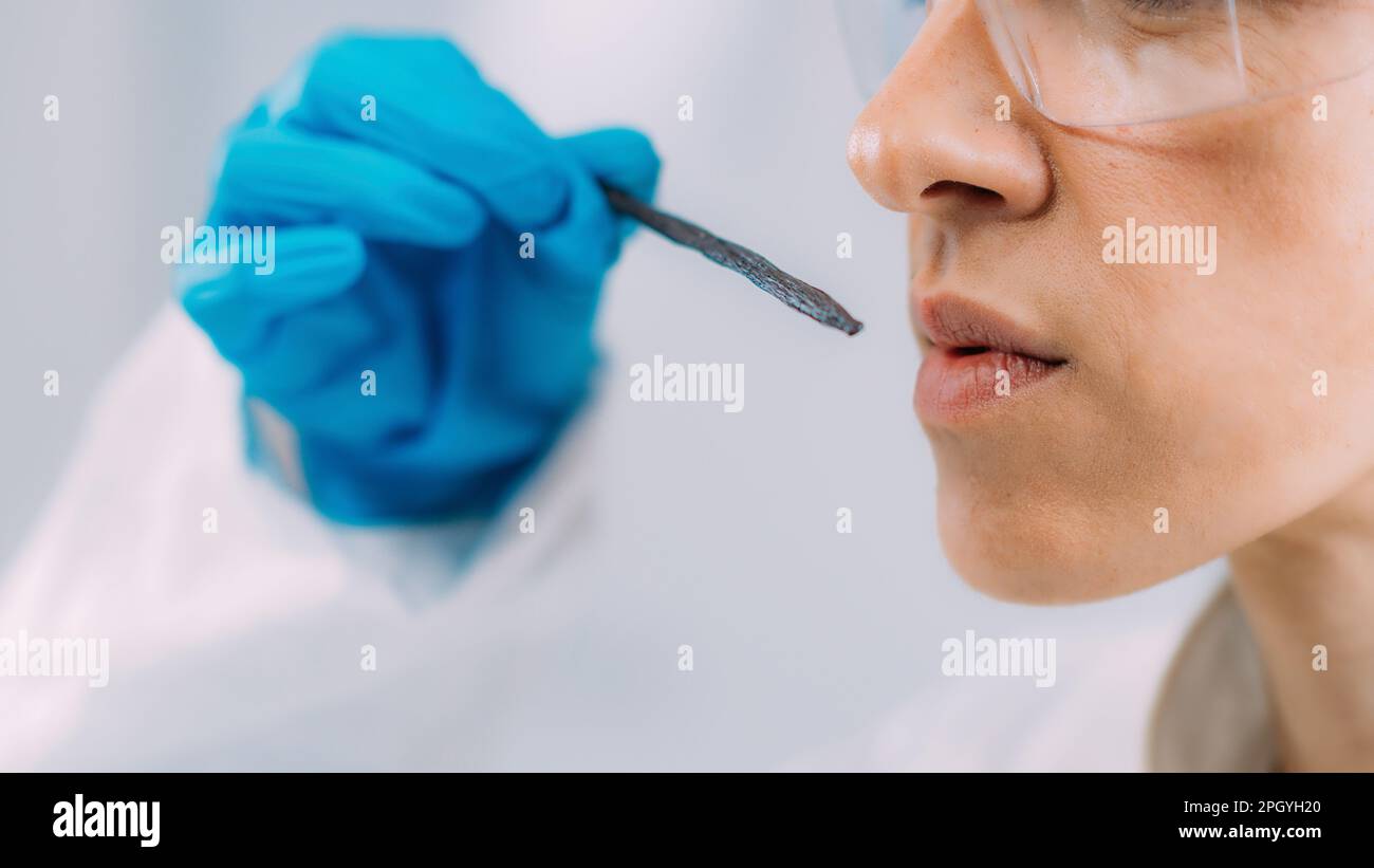 Sense of smell research, conceptual image Stock Photo - Alamy