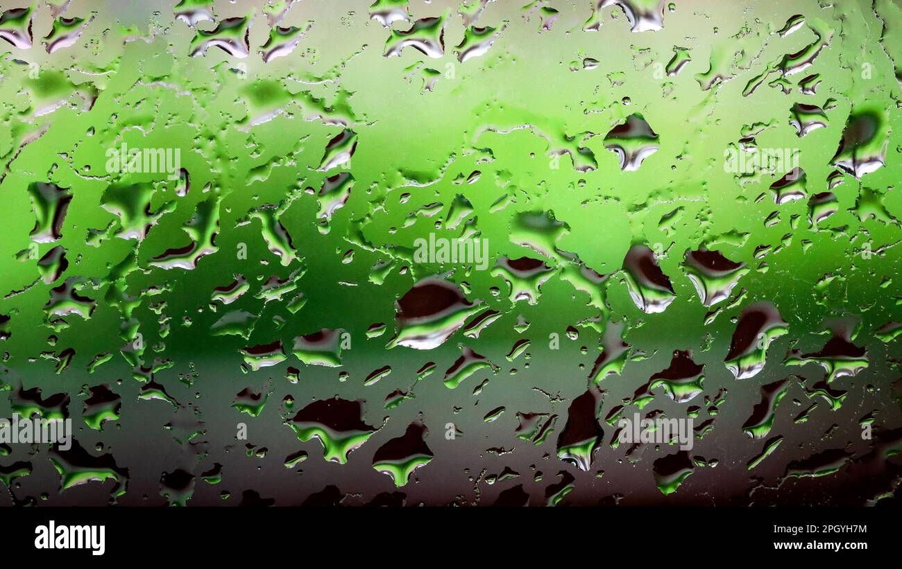 Rain drops on window with green tree in background Stock Photo - Alamy