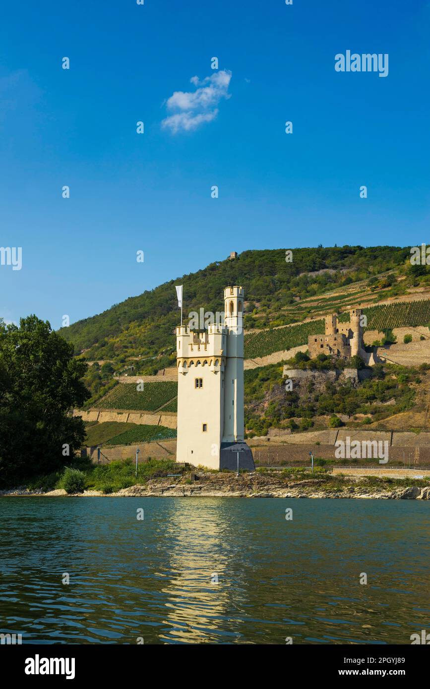 Maeuseturm, Bingen, Upper Middle Rhine Valley, UNESCO World Heritage ...