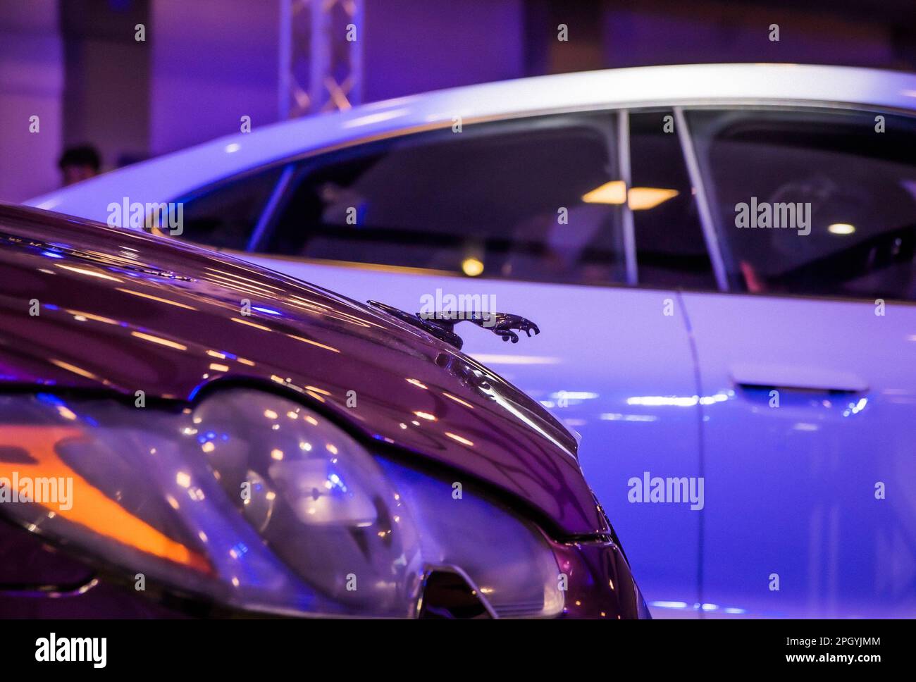 Jaguar Symbol from front of a car on february 25 , 2023 during ...