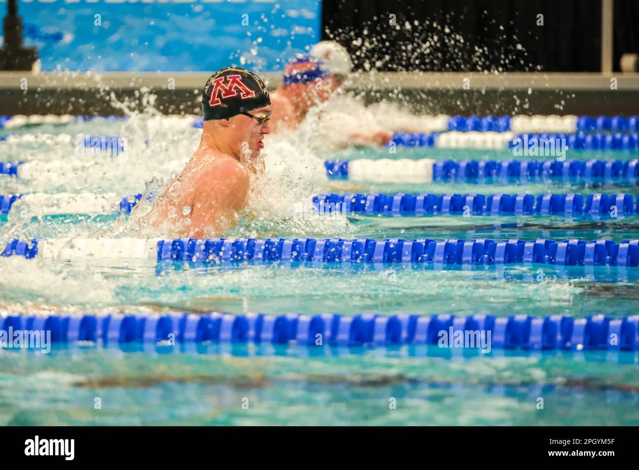 Ncaa mens swimming and diving championship hi-res stock photography and ...