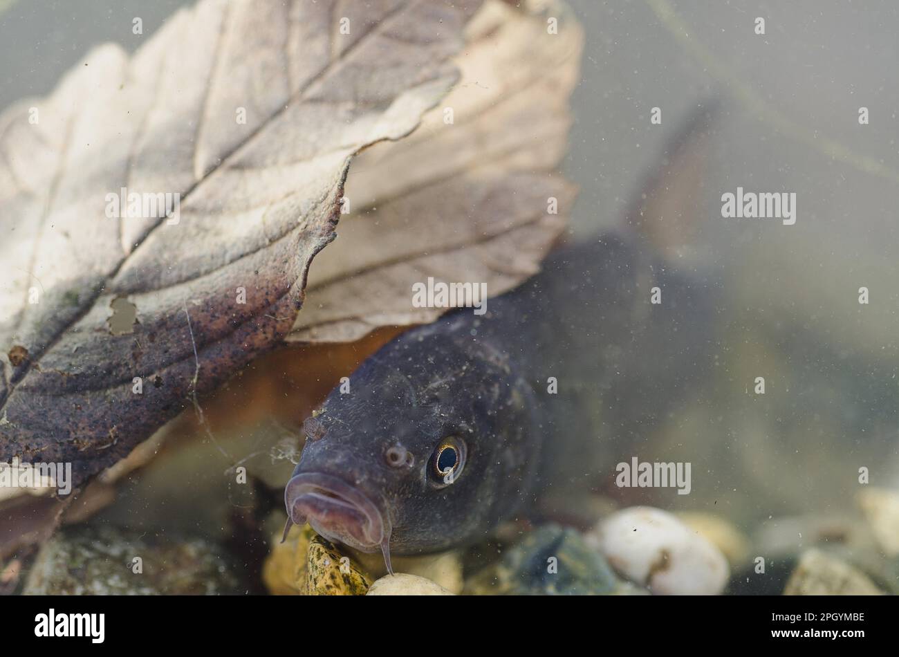 Outdoor water tank hi-res stock photography and images - Alamy