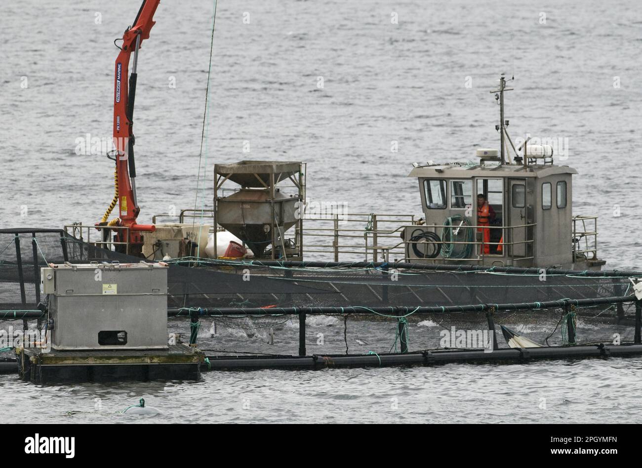 Fish farm, fish farming, fishing industry, Atlantic atlantic salmon ...