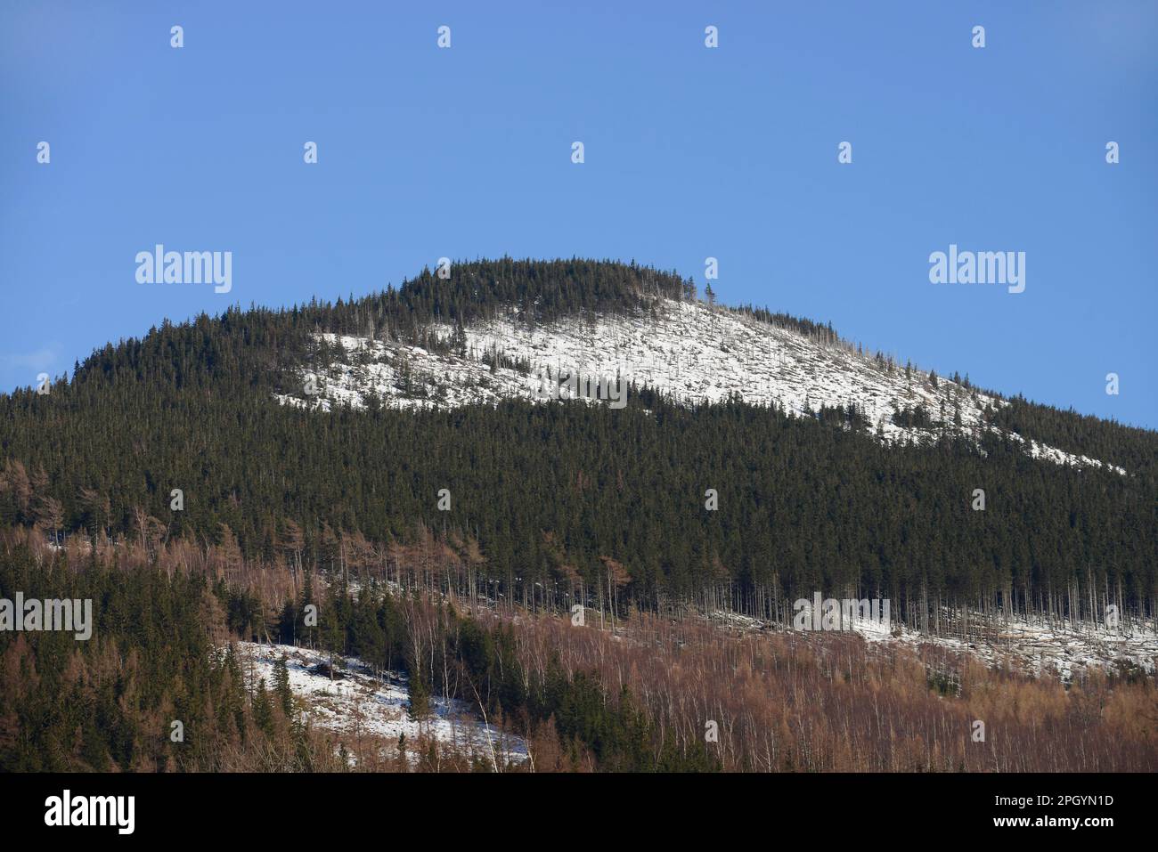 Skalny Stol Mountain, Karpacz, Lower Silesia, Poland Stock Photo - Alamy