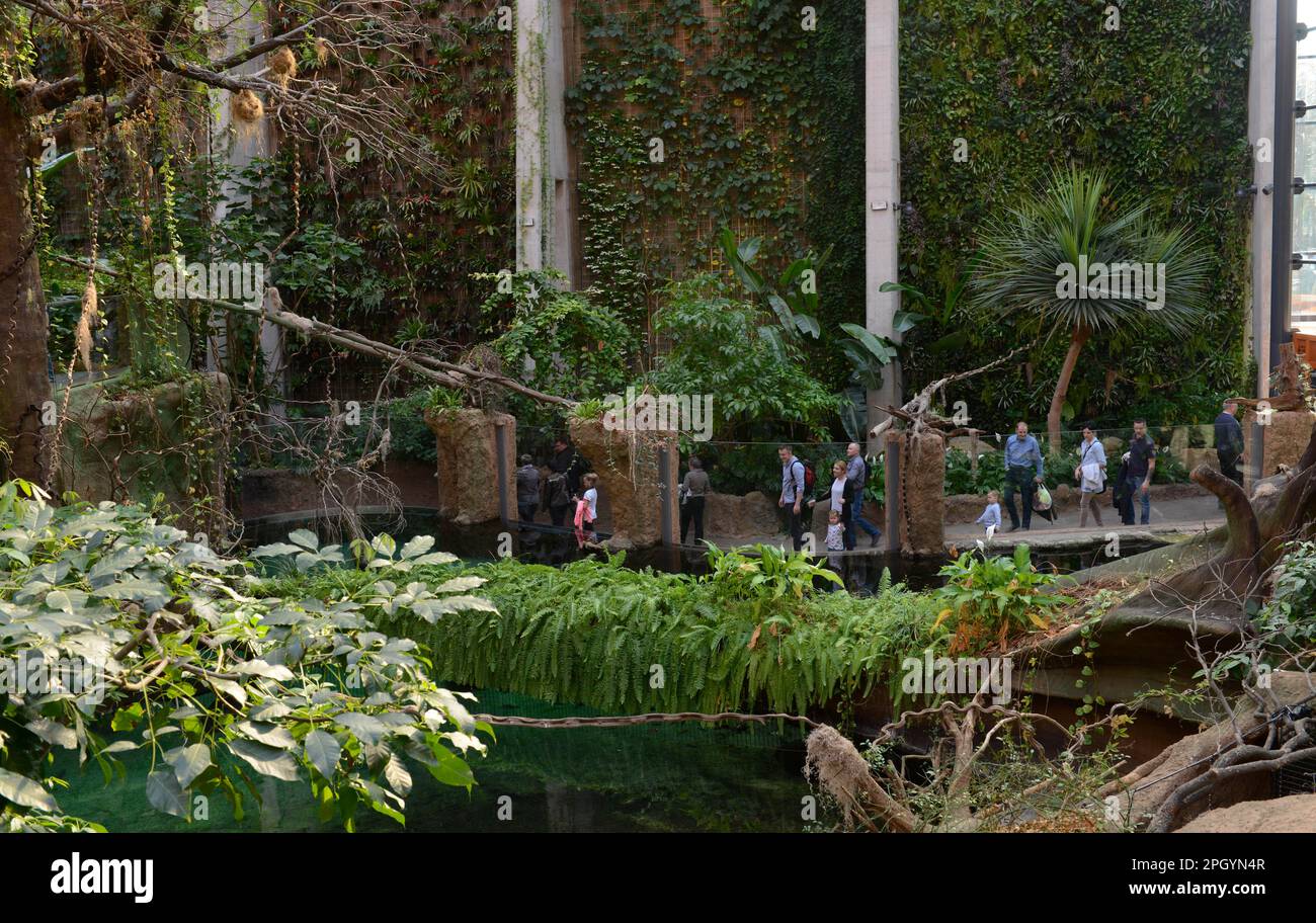 Wroclaw afrykarium hi-res stock photography and images - Alamy